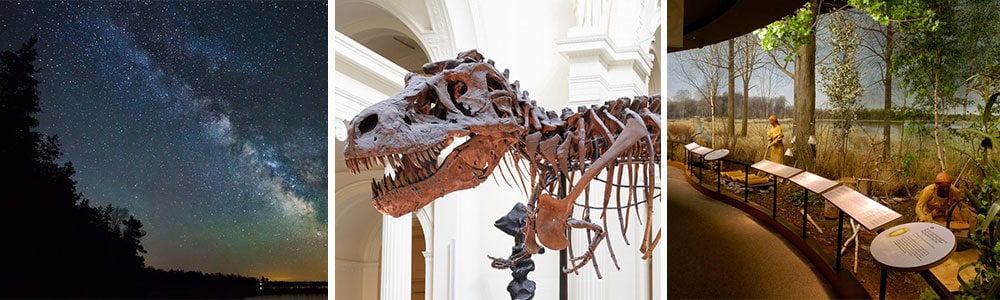 Plan a Successful Field Trip | Indian Trails