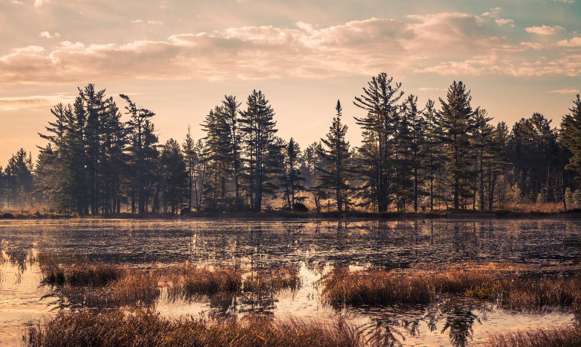 A Hidden Gem in the Upper Peninsula: Newberry, Michigan